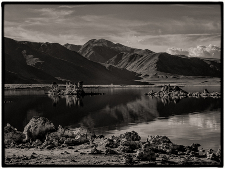 Infrared Images Thumbnails: Elizabeth Currier Images