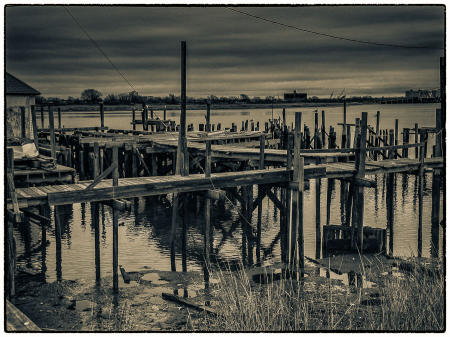 Infrared Images Thumbnails: Elizabeth Currier Images