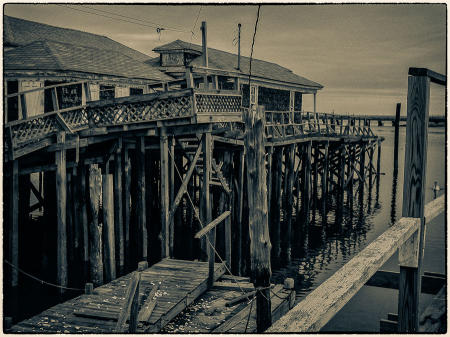 Infrared Images Thumbnails: Elizabeth Currier Images