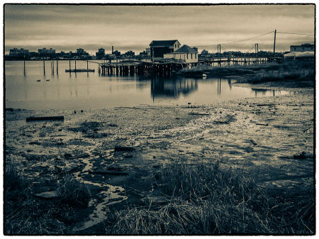 Infrared Images Thumbnails: Elizabeth Currier Images