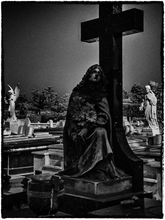Infrared Images Thumbnails: Elizabeth Currier Images